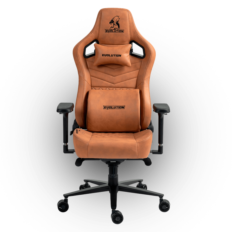 BLOG.ZONE - EVOLUTION